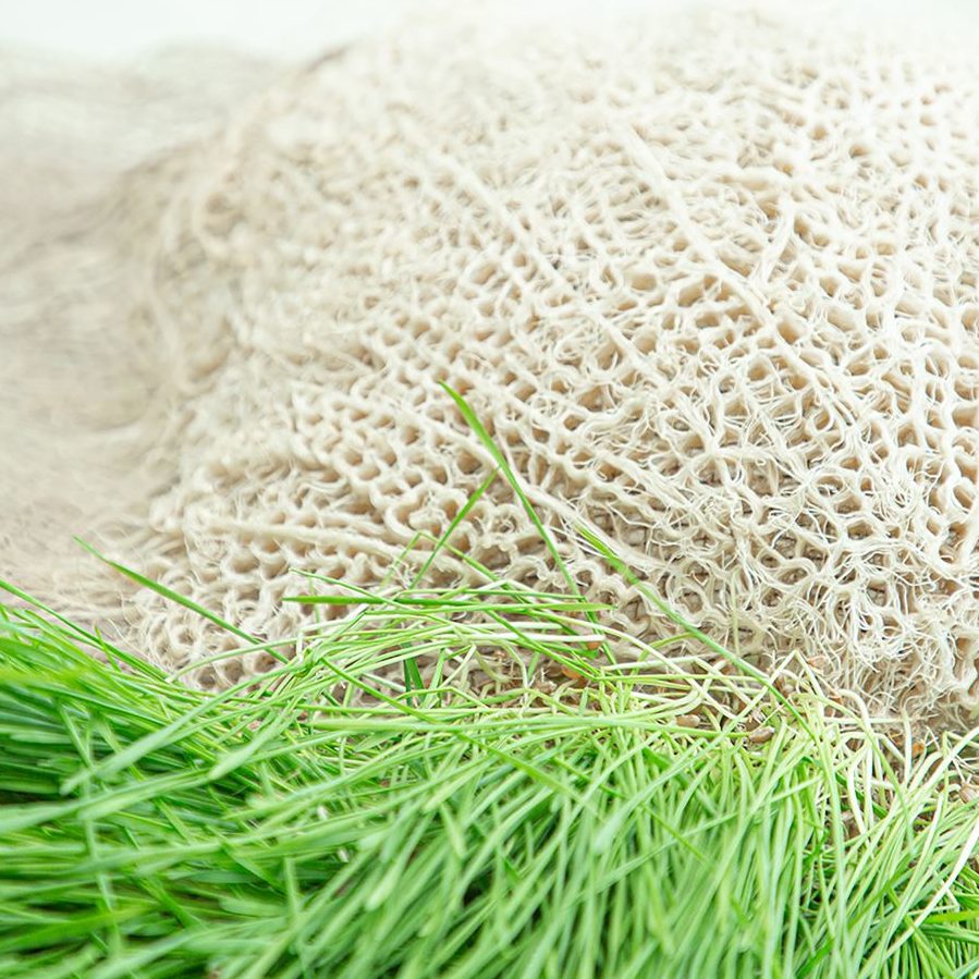 Rootfull Circular Material Library